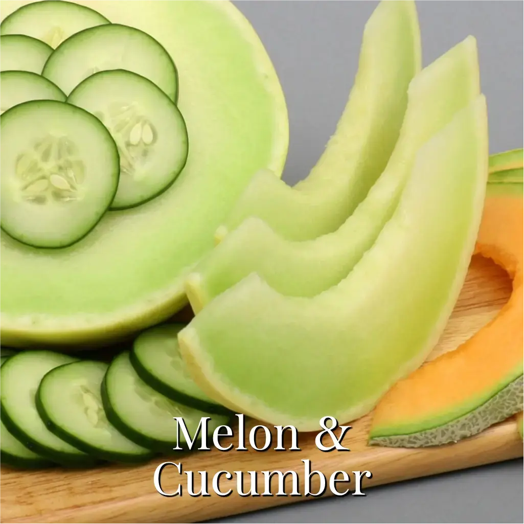 Melon & Cucumber Car Diffuser